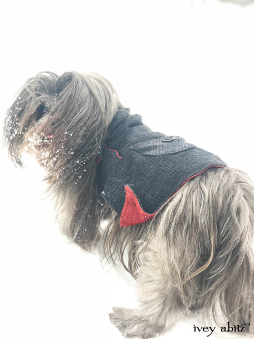 Canine Theodore Coat | Ivey Abitz