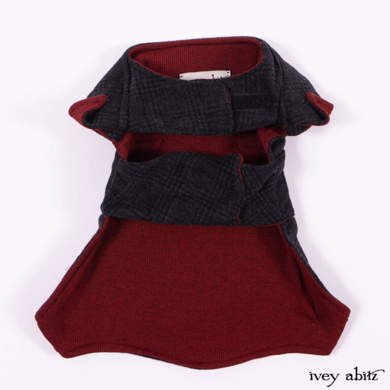 Canine Theodore Coat | Ivey Abitz